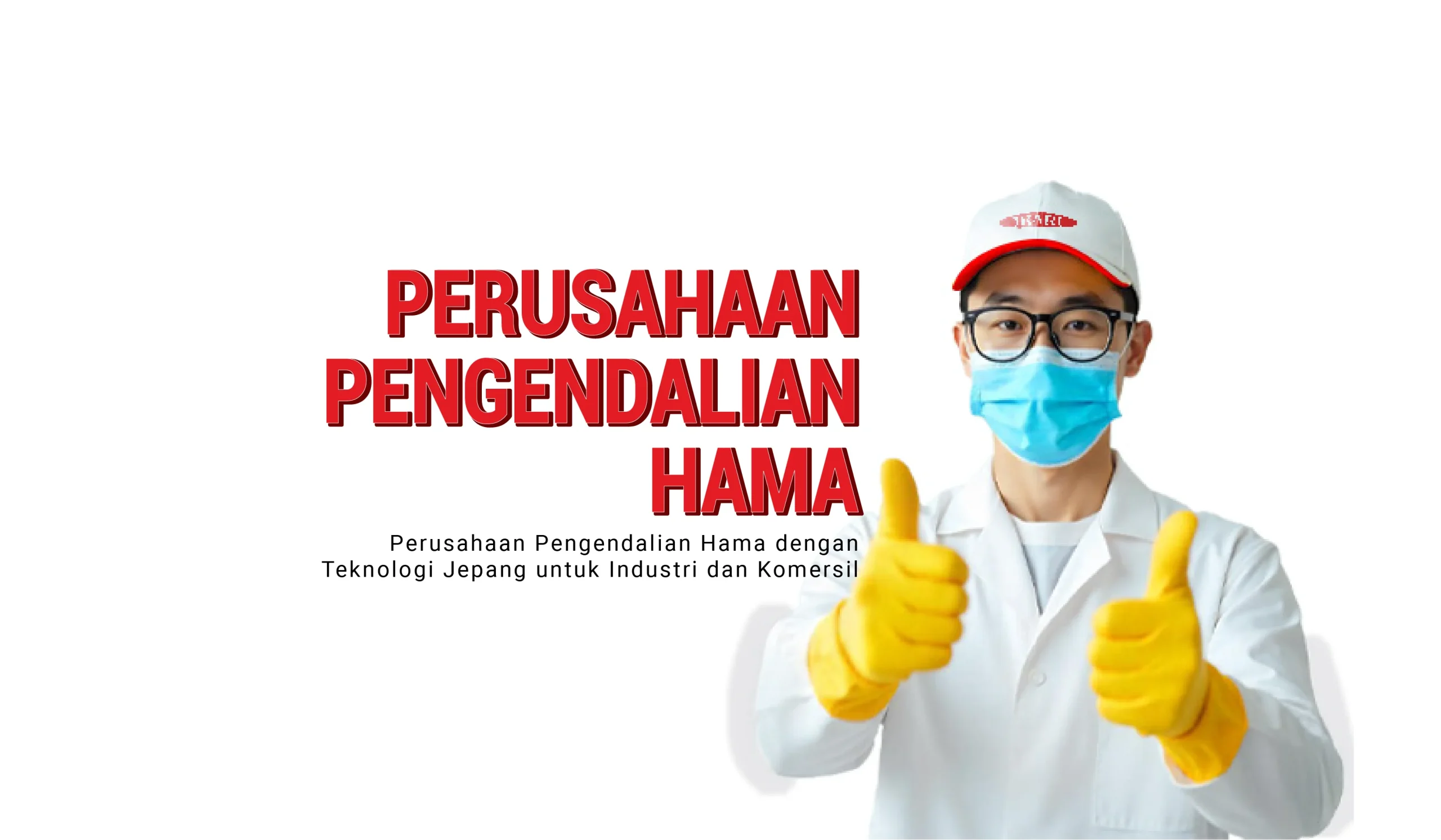 Perusahaan Pengendalian Hama Terpercaya & Aman
